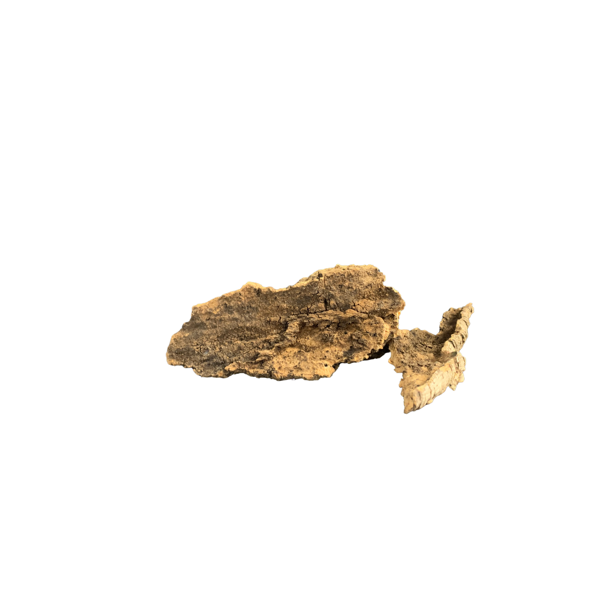 Natural Cork Flats and Rounds bamboo | Local Delivery & Pick-up in ...